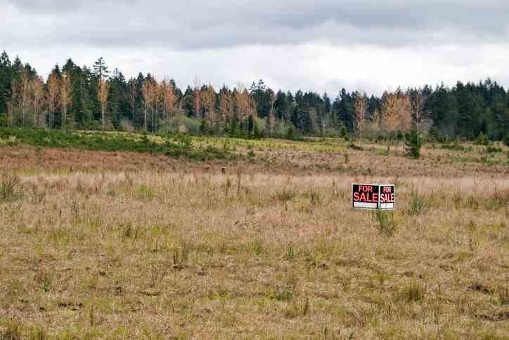 5 Things To Do When Buying Land | Marie Sells Dallas